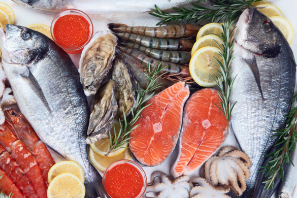 Conheça os tipos de peixe e seus benefícios